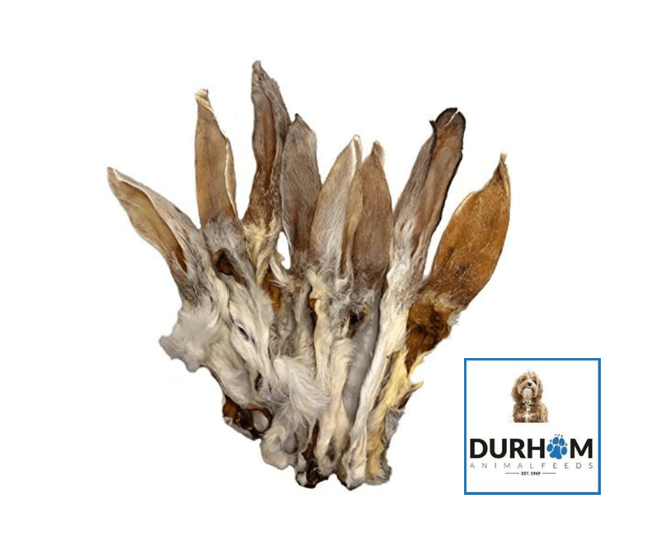 DAF Raw Rabbit Ears (10 pcs) - K9-Catering
